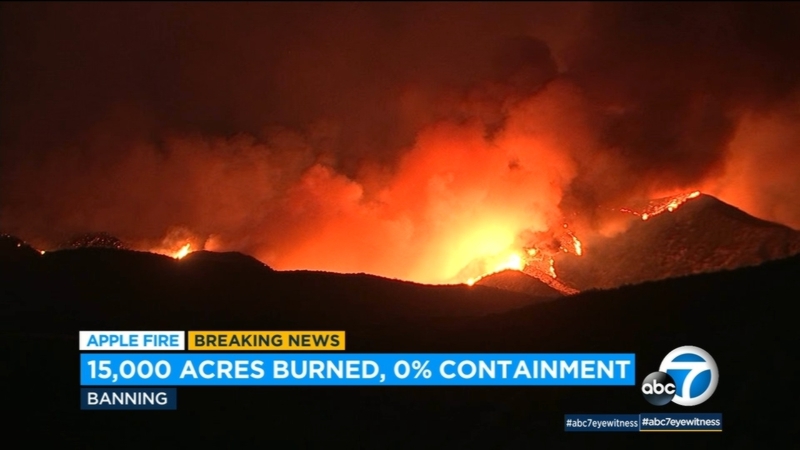 Hypothesis Feedback | Counterintuitivity